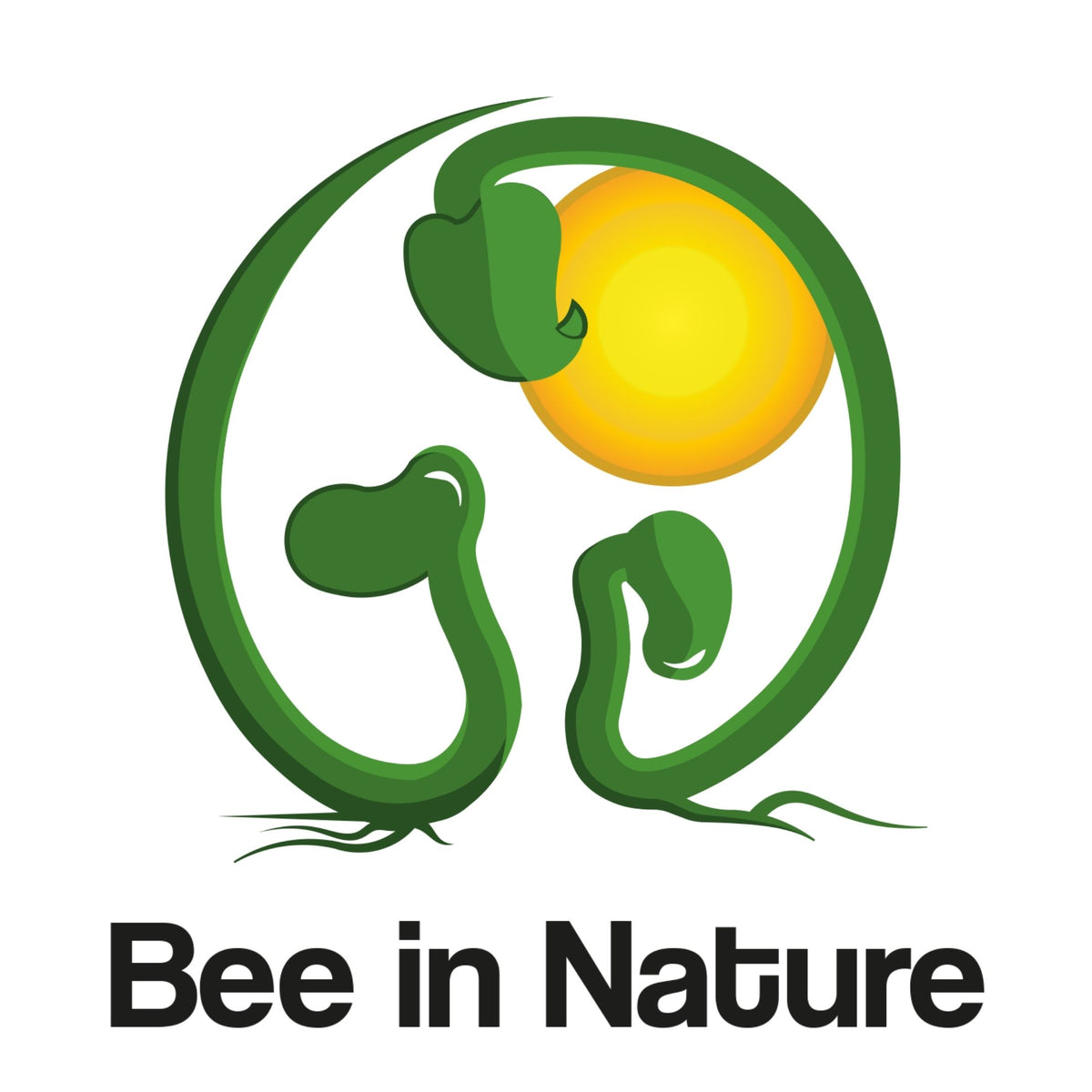 Sustainability – Bee in Nature